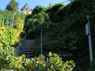 Weinlehrpfad Pünderich